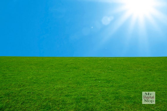 Photography Grass Field Photo Digital Backdrop Dreamy Backdrop for Fine ...