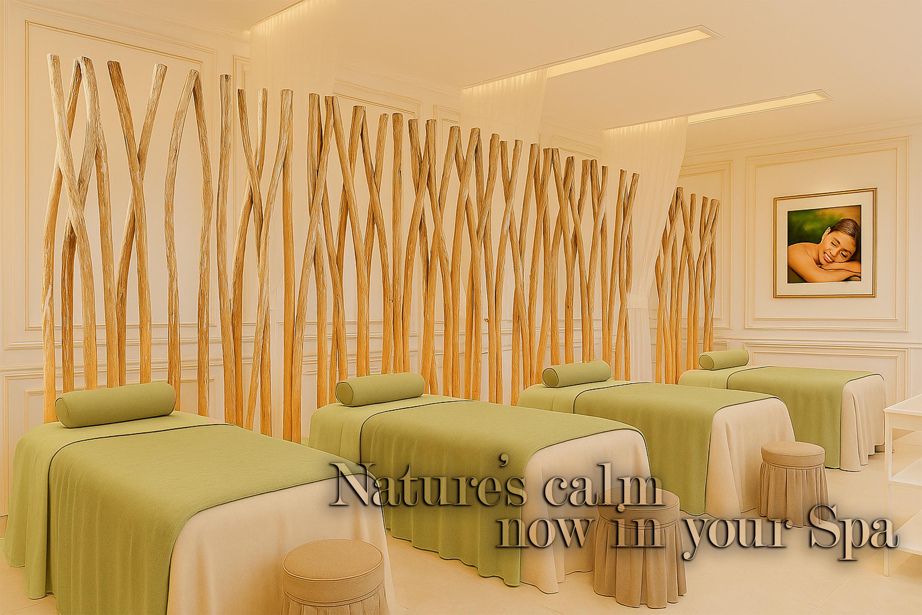 Handmade Tree Branch Room Divider Natural Wood Spa Partition - Etsy