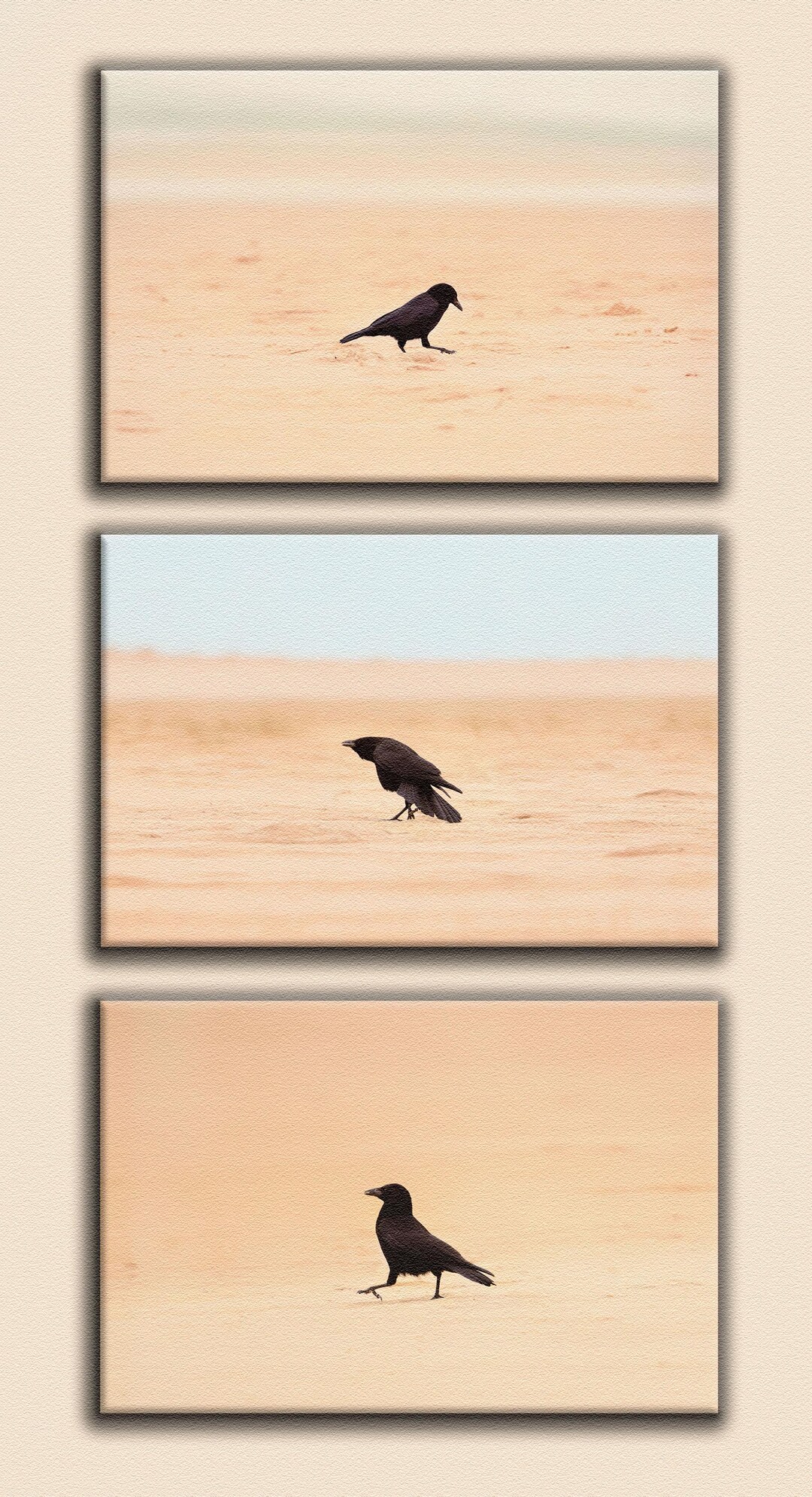 Bird Photography Triptych | Black Crow | Foam-mounted Art Prints | Wall ...