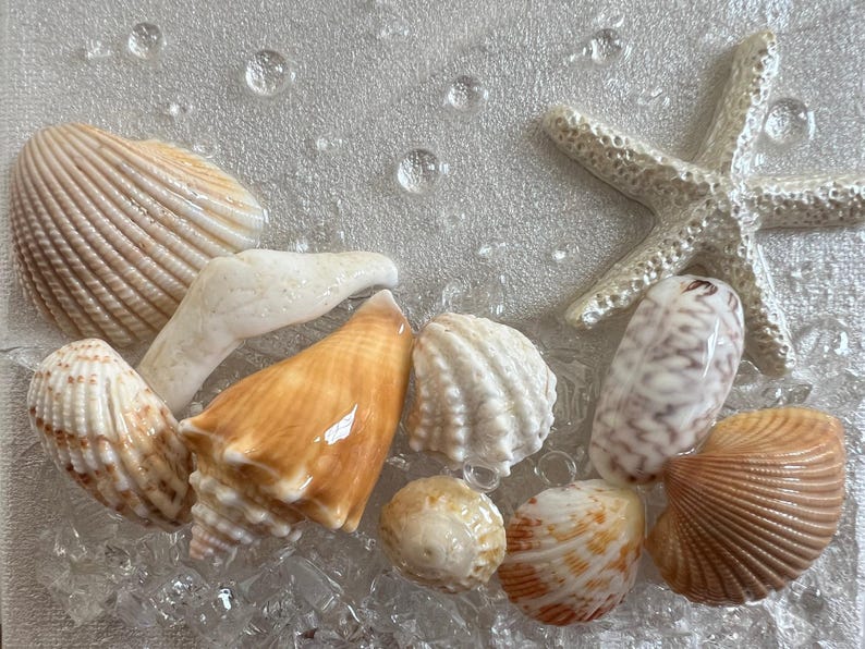 Beautiful Seashell Wall Art Canvas Resin Starfish Bubbles Sand Shells ...