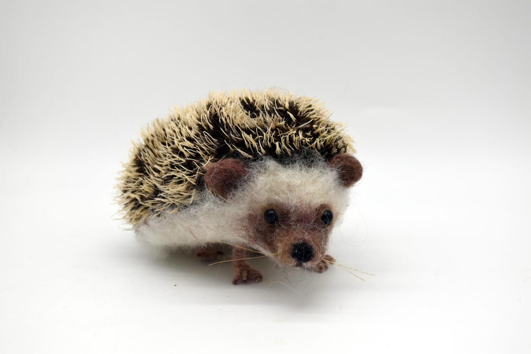 Needle-felted Hedgehog - Handmade Wool Animal Sculpture - Etsy