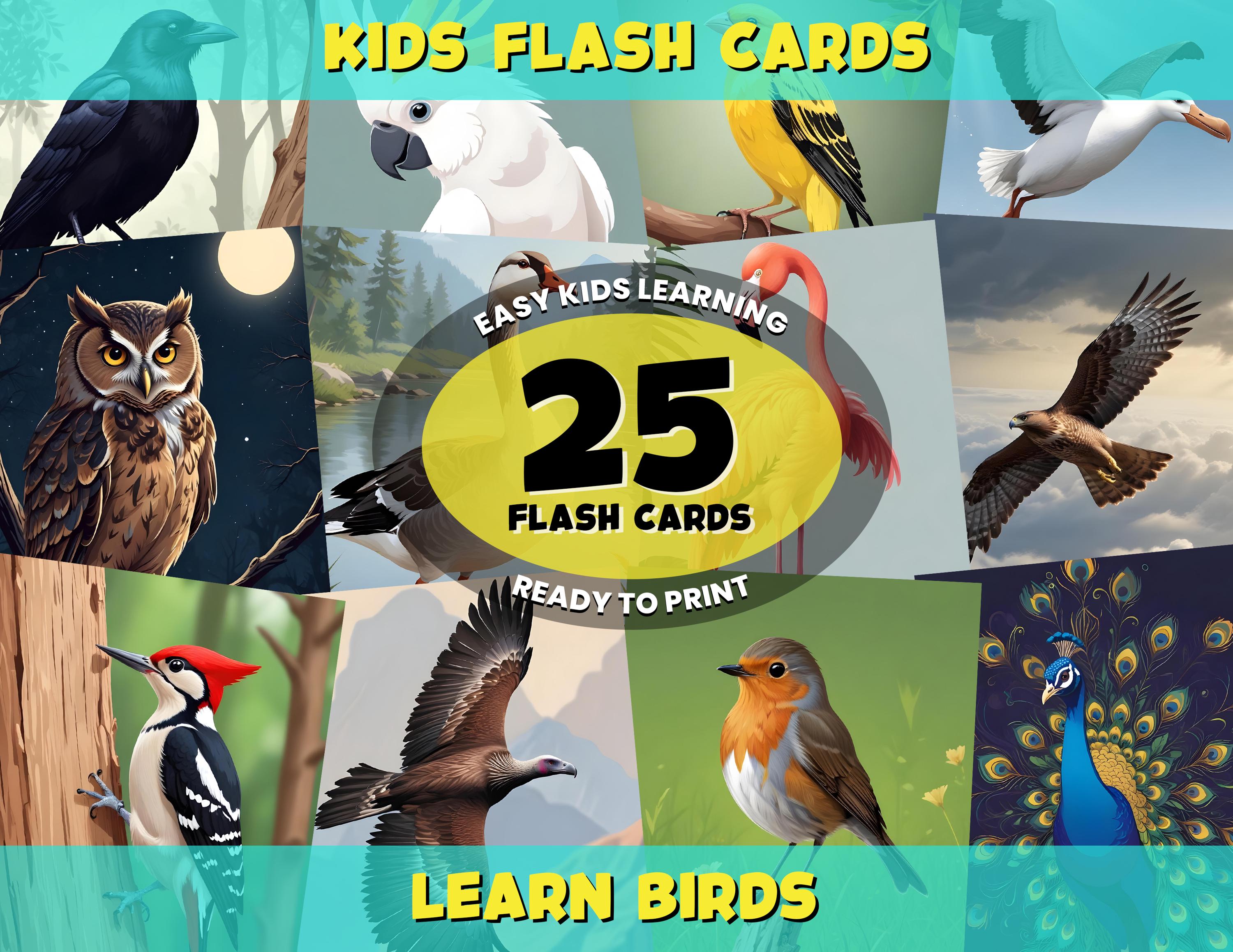25 Printable Birds Flashcard With Names | Ages 3+ Educational Digital ...