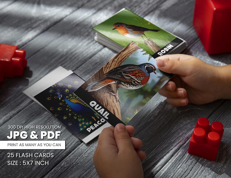 25 Printable Birds Flashcard With Names | Ages 3+ Educational Digital ...