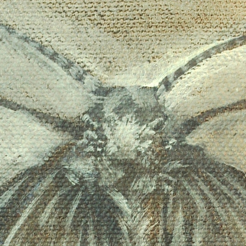 Original Small Moth Painting in Acrylic - Etsy