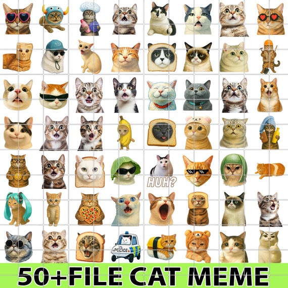 Meme Invitacin Memes Humor Memes Divertidos Memes Sarcsticos Memes