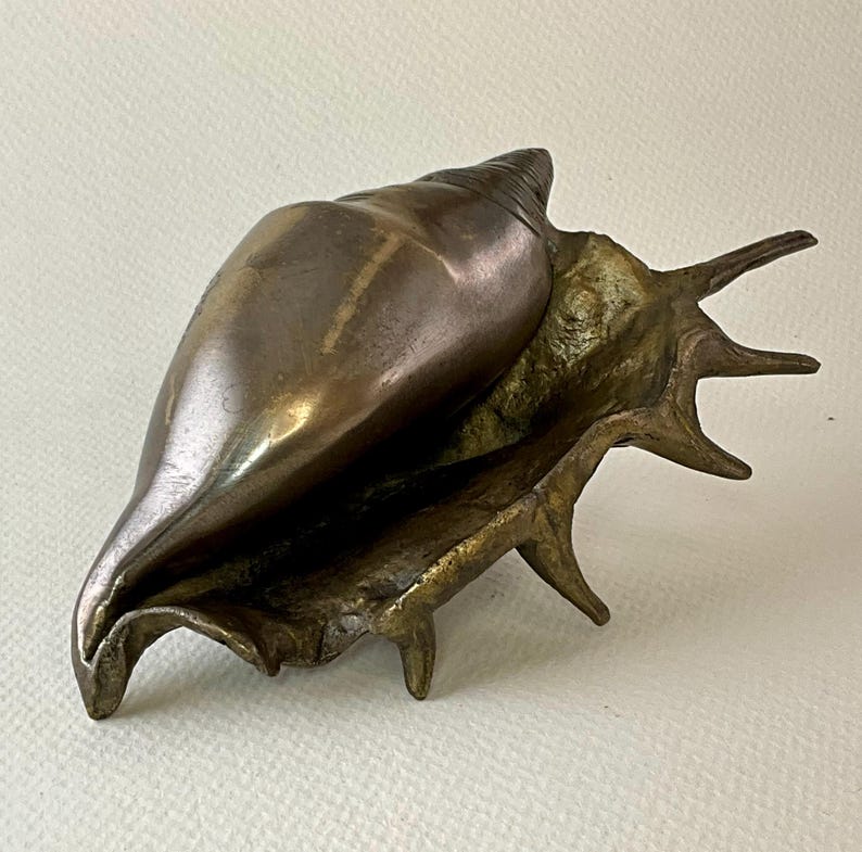 Vintage Spider Conch Shell Sculpture / Paperweight. 7” in Length /FREE SHIPPING - Etsy