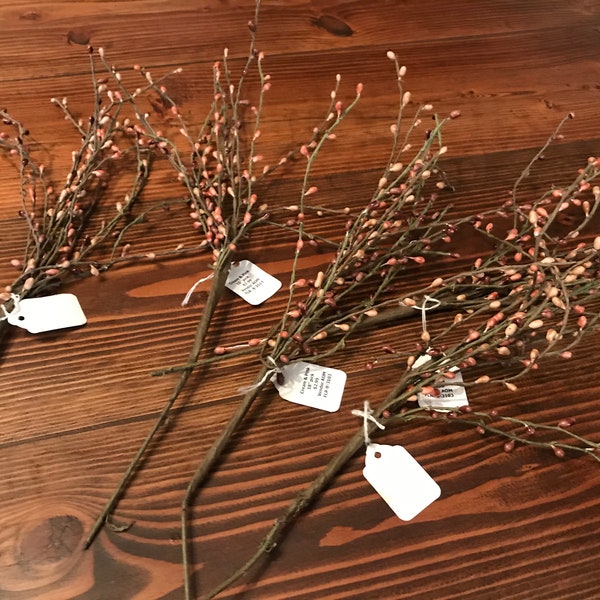 Pink Pip Berries - Etsy