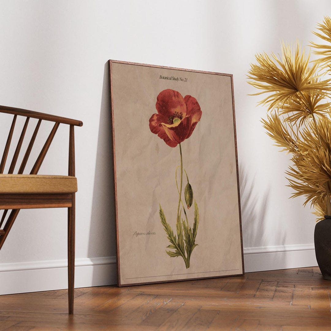 Red Poppy Botanical Print – Vintage Papaver Rhoeas Wall Art, Romantic ...