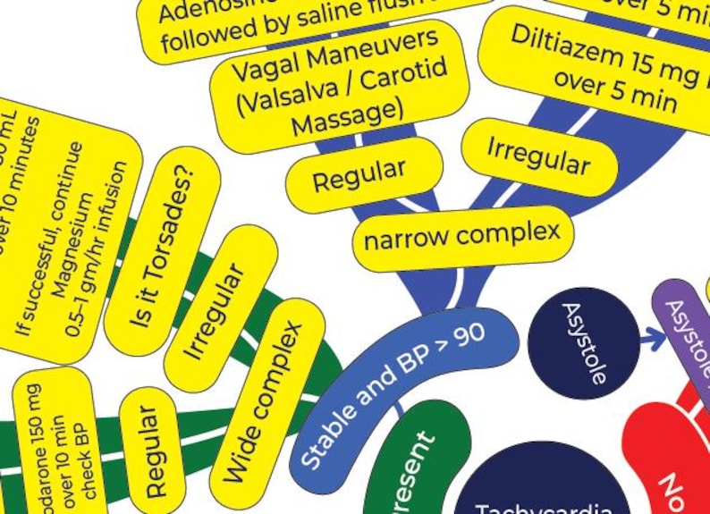 ACLS Algorithm All in One Flowchart ACLS Review Study Guide Printable ...