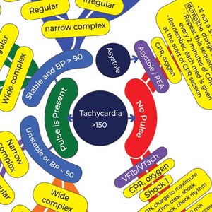 ACLS Algorithm All in One Flowchart ACLS Review Study Guide Printable ...