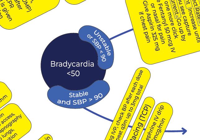 ACLS Algorithm All in One Flowchart ACLS Review Study Guide Printable ...