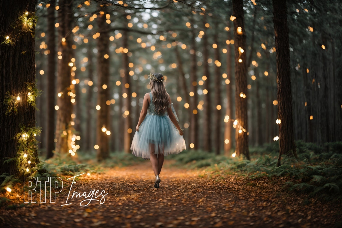 Virtual Background Enchanted Forest Bokeh Lights Backdrop, Composite ...