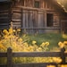 Virtual Background Summer Barn and Wooden Fence, Photoshop Composite ...