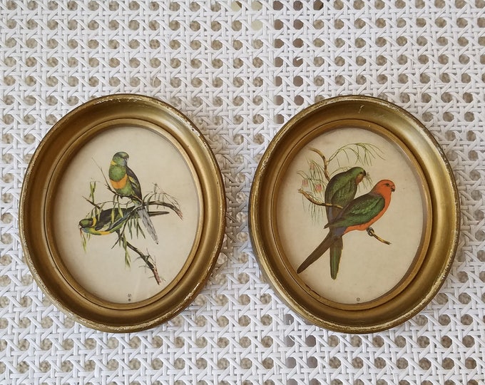 Vintage Birds Art Prints in Gold Oval Wood Frames Pair Set of Two ...