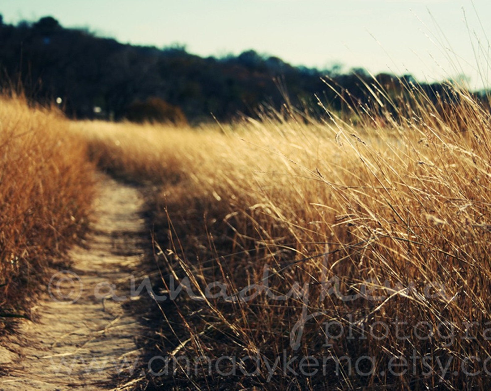 Country Decor - Wanderlust - Fine Art Photography Print - Autumn ...