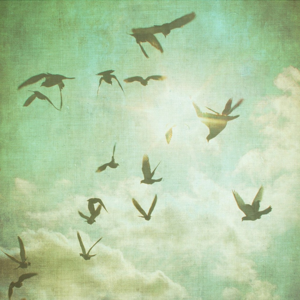 Nature Bird Nursery Decor Ethereal Aqua Blue Turquoise Cream - Etsy