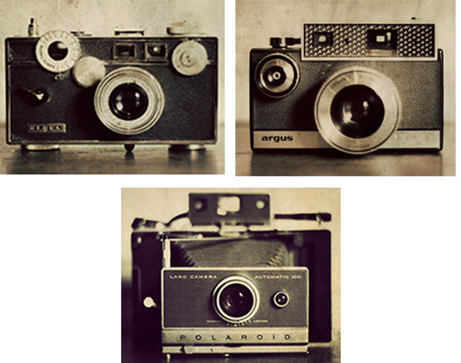 Vintage Camera Print Collection Monochromatic Wall Art, Antique Cameras ...
