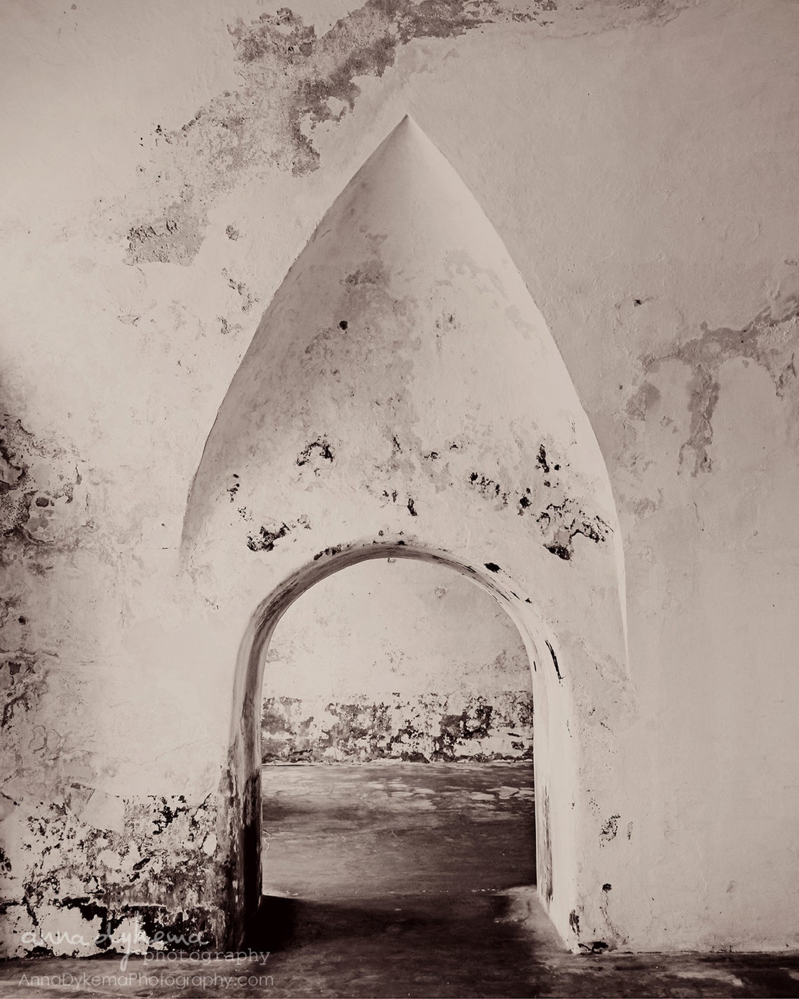 Black & White Photography Collection Arches Collection - Etsy
