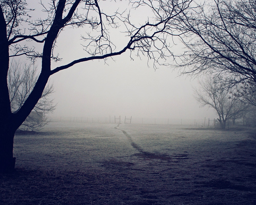Monochromatic Wall Art A Winter's Walk Frost Trees - Etsy