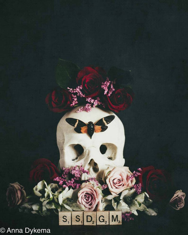 My Favorite Murder SSDGM Murderino Fine Art Photography - Etsy My Favorite Murder SSDGM Murderino Fine Art Photography - Etsy