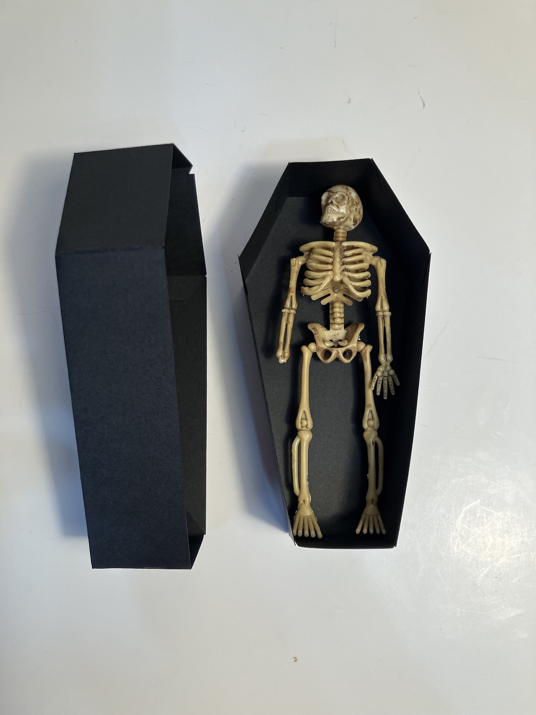 Coffin Boxes With Skeletons - Six (6) DIY Coffin Kits With Lids ...