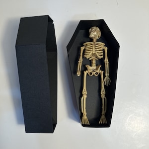 Coffin Boxes With Skeletons - Six (6) DIY Coffin Kits With Lids ...