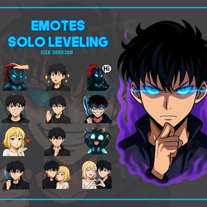 Pack 13 Emotes Solo Leveling 200x200 - Etsy Australia