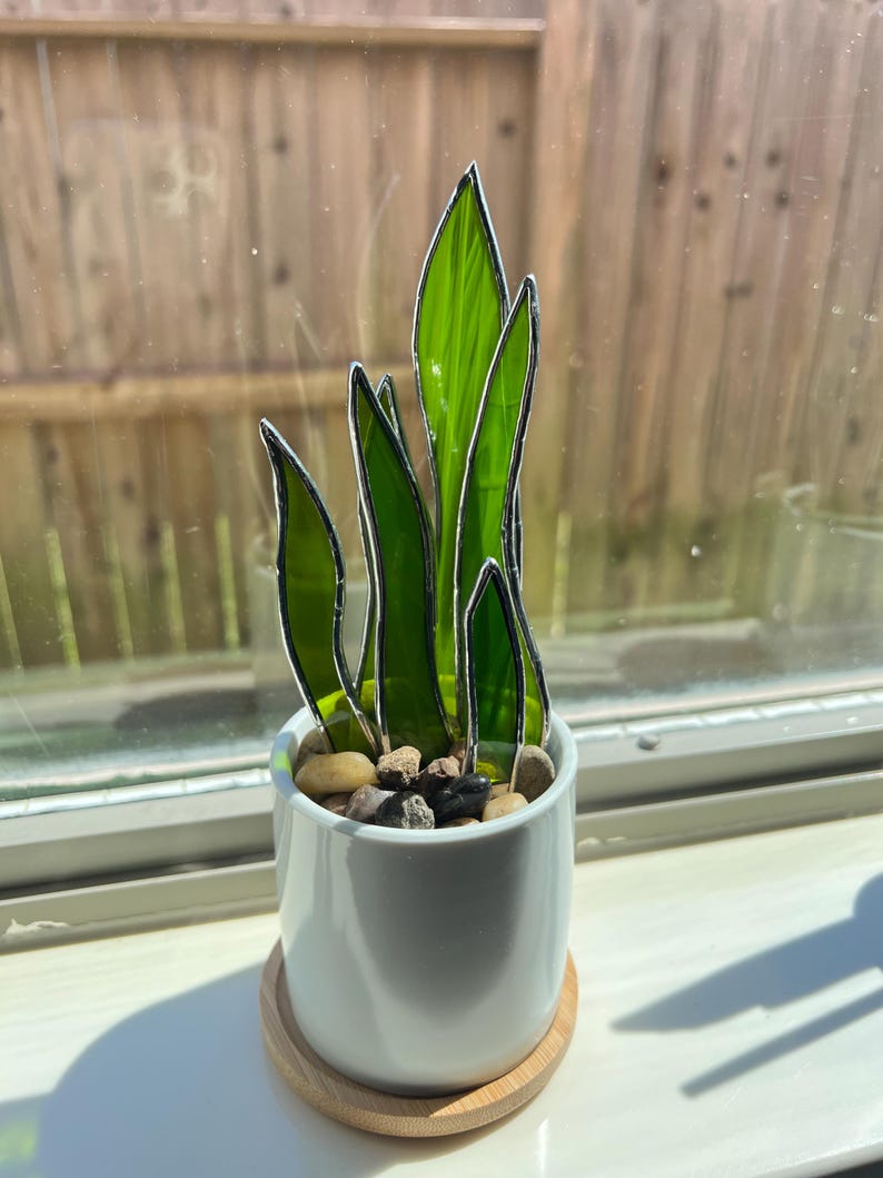 Stained Glass Snake Plant - Etsy