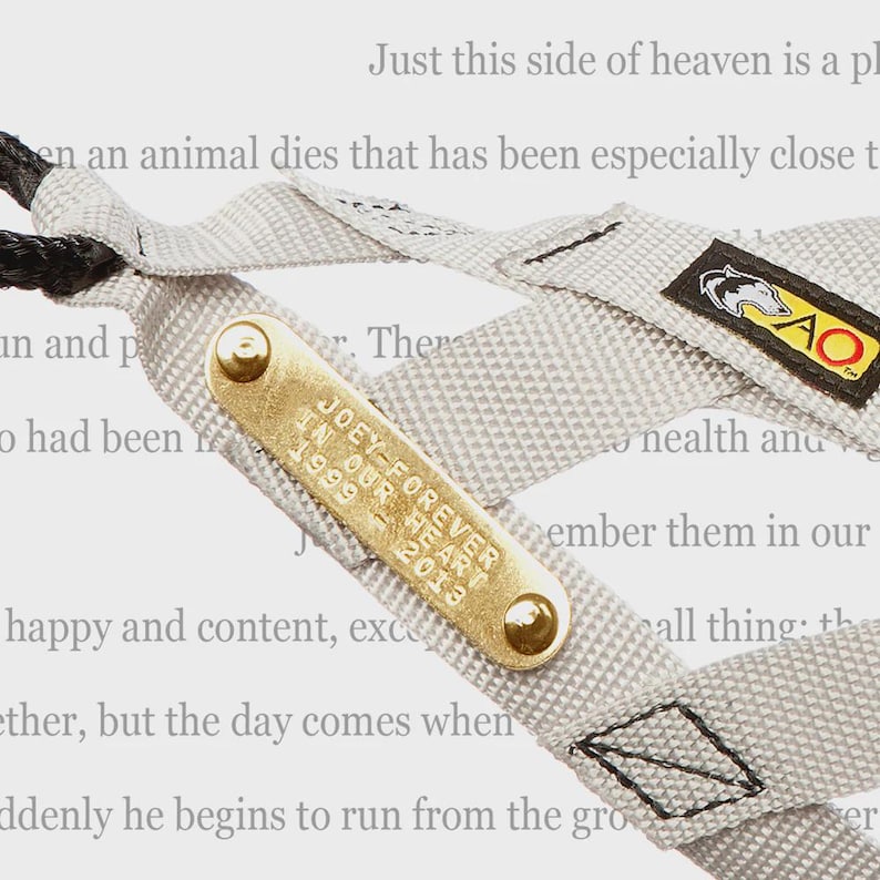 Memorial Dog Harness - Etsy