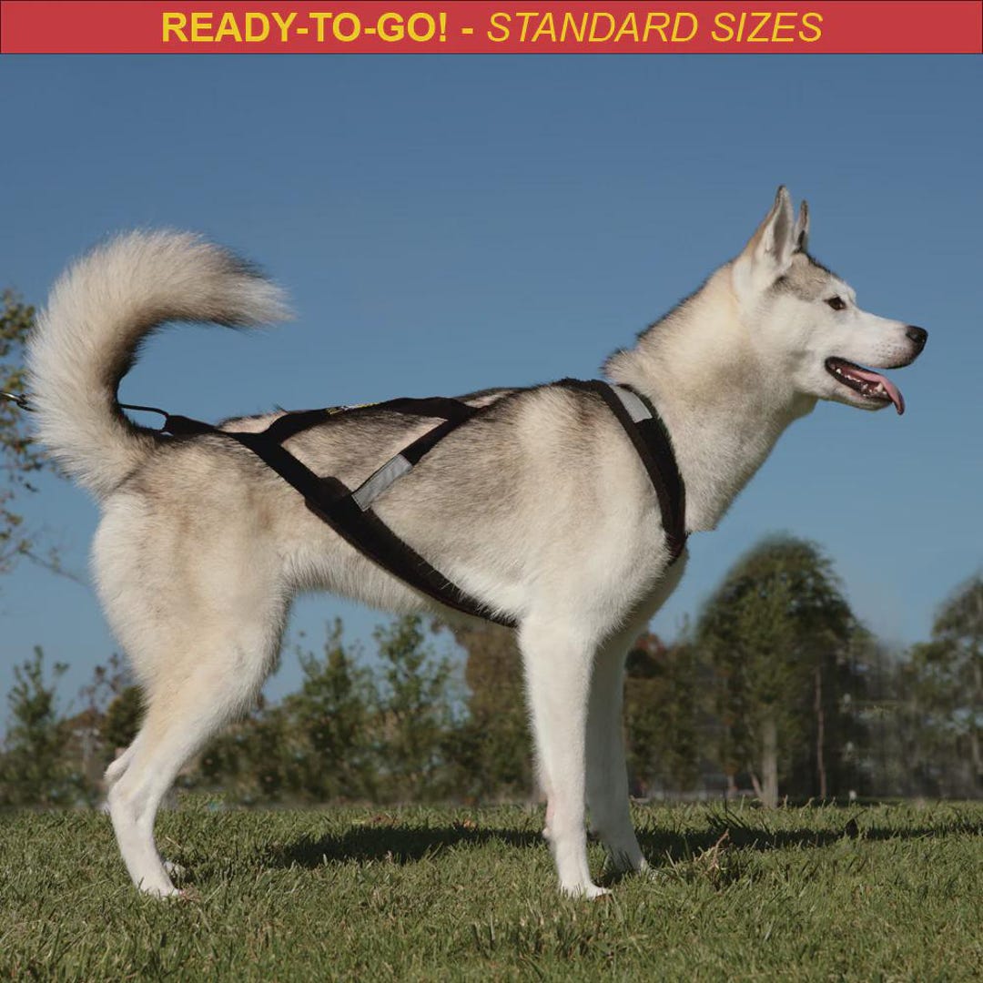 Fleece Padded X-back Dog Harness: Sledding, Bikejor, Canicross - Made ...