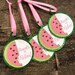 Watermelon Confetti. 100 Pieces. Watermelon Party One in a Melon Party ...