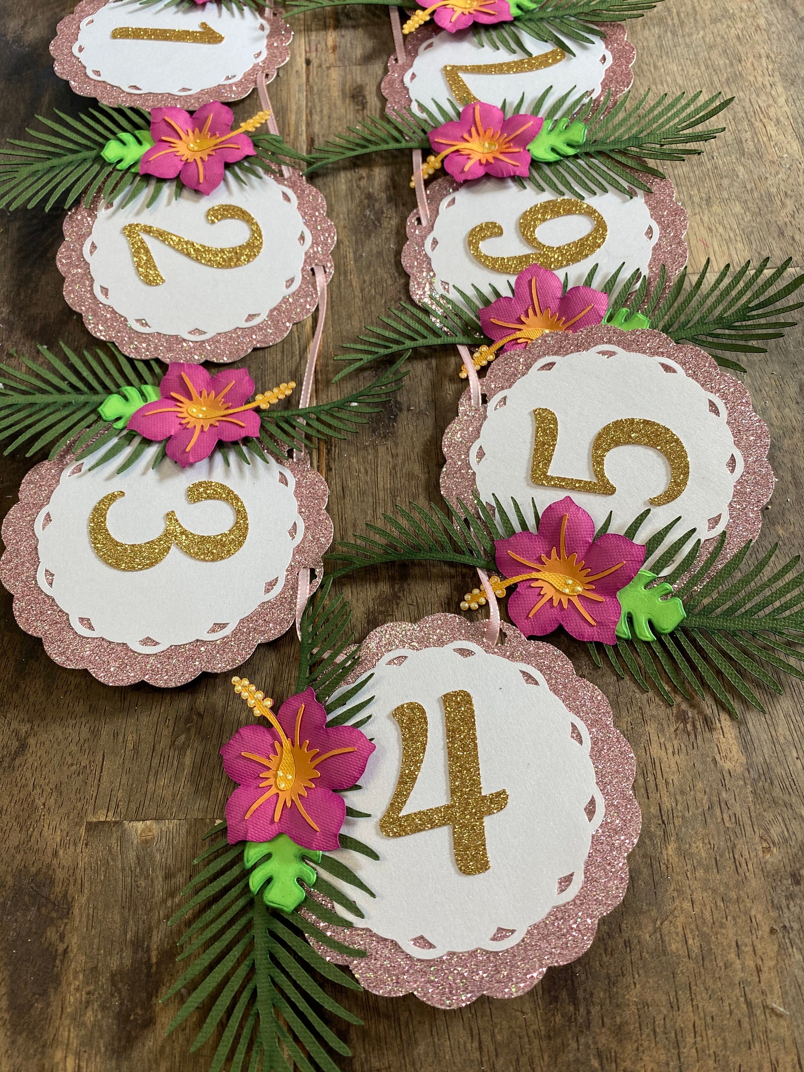 Milestone Banner. Aloha Monthly Banner. Tropical Birthday. | Etsy