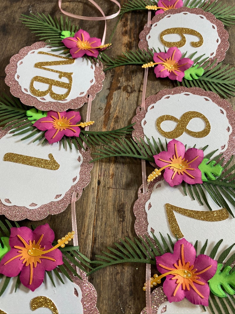 Milestone Banner. Aloha Monthly Banner. Tropical Birthday. | Etsy