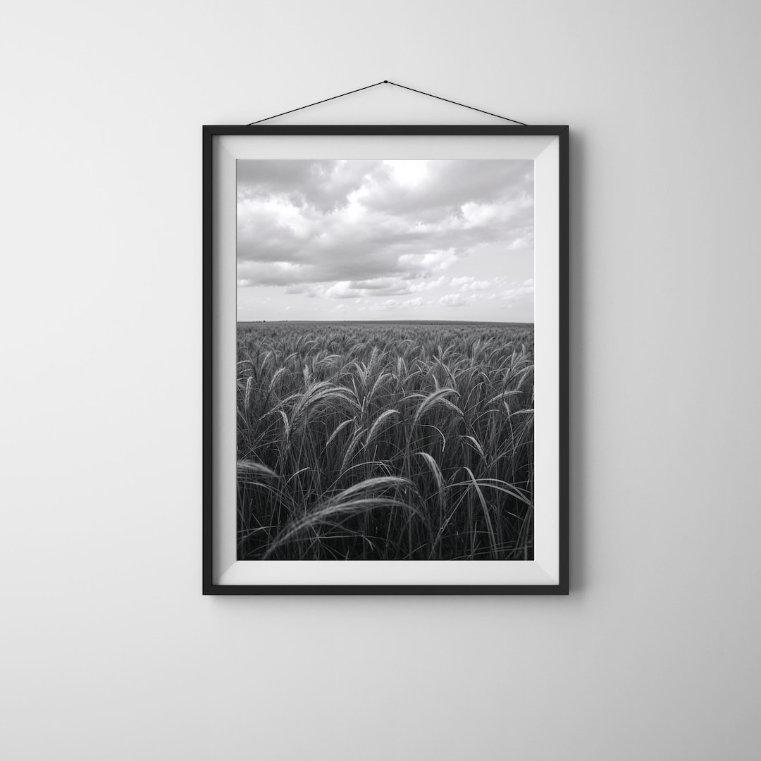 Windy Grass Field Print: Minimalist Black and White Nature Photography ...