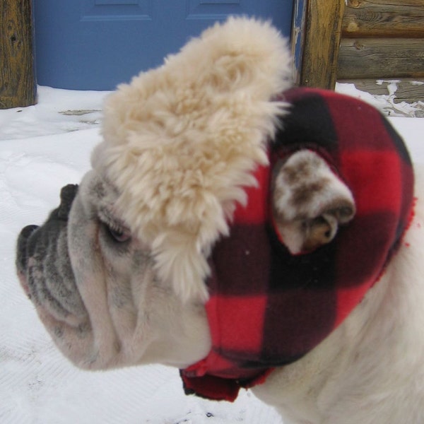 Bulldog Hat - Etsy