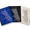 CTA Rail System Map Poster Features All Lines: Red, Orange, Blue ...