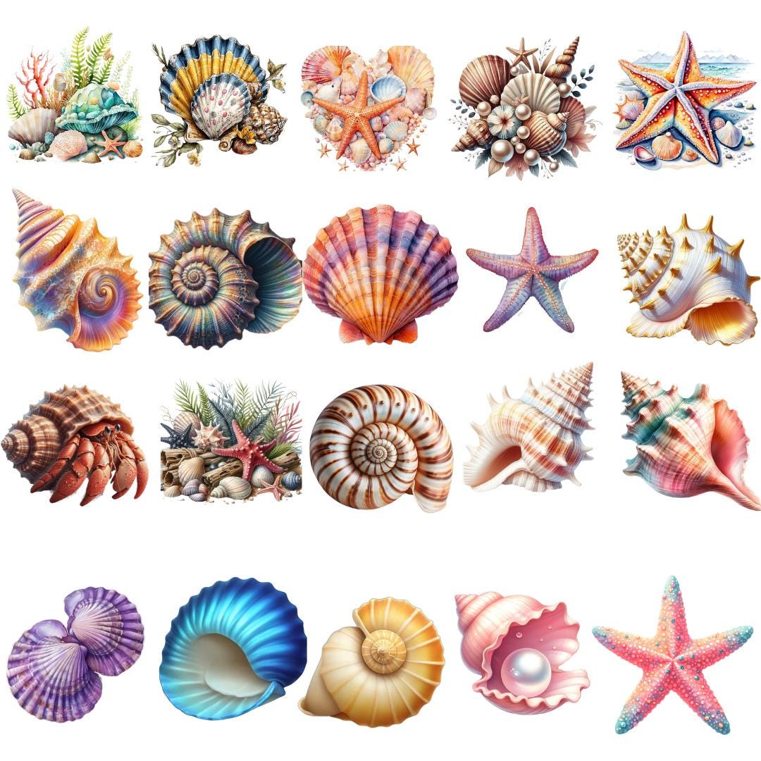 Watercolor Seashell Clipart Bundle, Beach Nautical Ocean Graphics ...