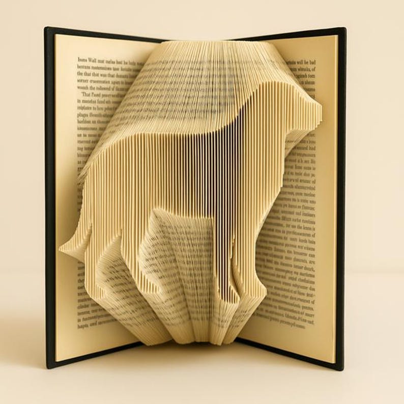 SALE! 10 Pack Foldable Book Folding Art Tutorial - Etsy