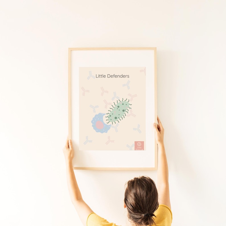 Immune System Poster for Kids – Printable Science Wall Art for ...