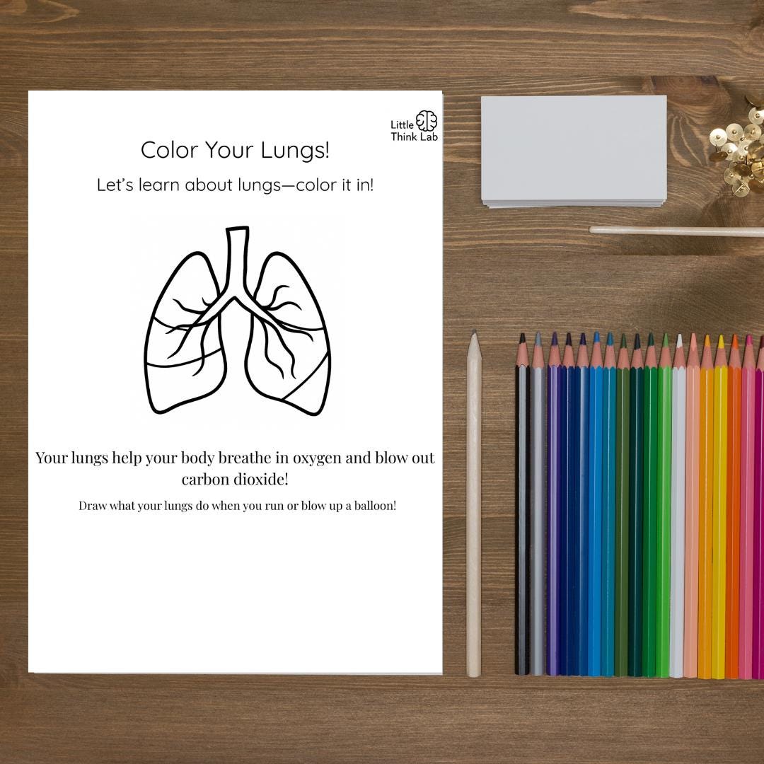 Color Your Lungs Kids Coloring Page – Printable Lung Anatomy Worksheet ...