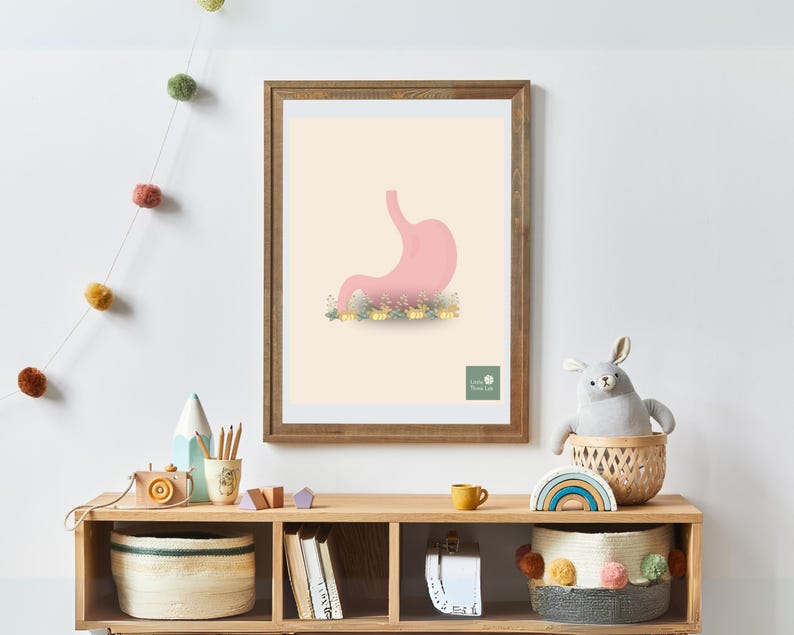Botanical Stomach Wall Art | Calm Anatomy Poster | Printable Decor for ...