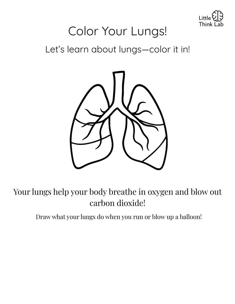 Color Your Lungs – Calming Printable Lung Coloring Page for Kids ...