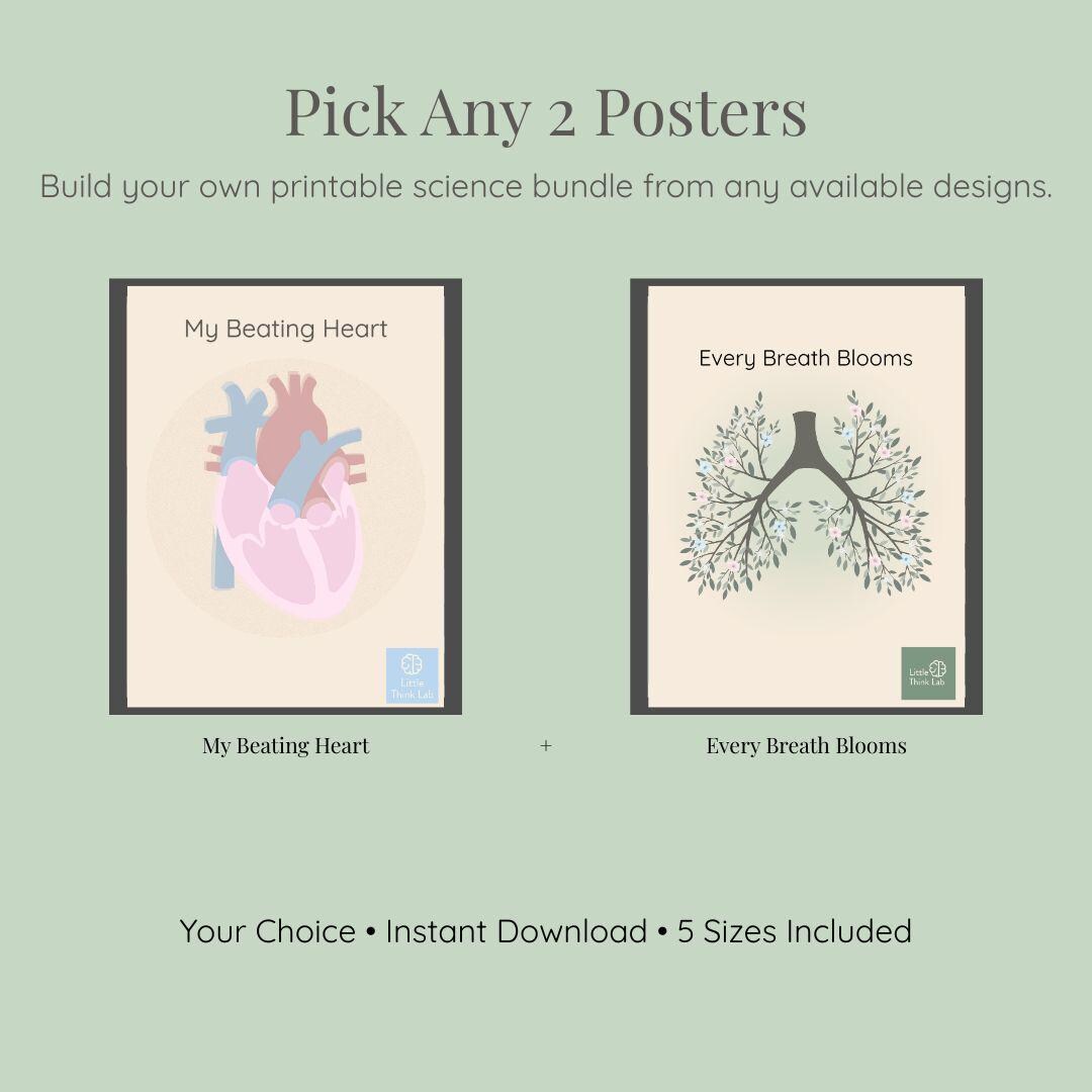 Pick Any 2 Posters – Printable Calm Science Art for Kids, Educational ...