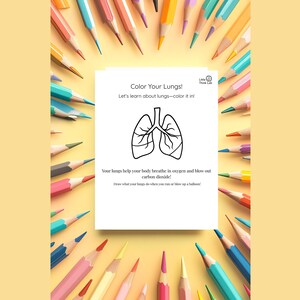 Color Your Lungs – Calming Printable Lung Coloring Page for Kids ...
