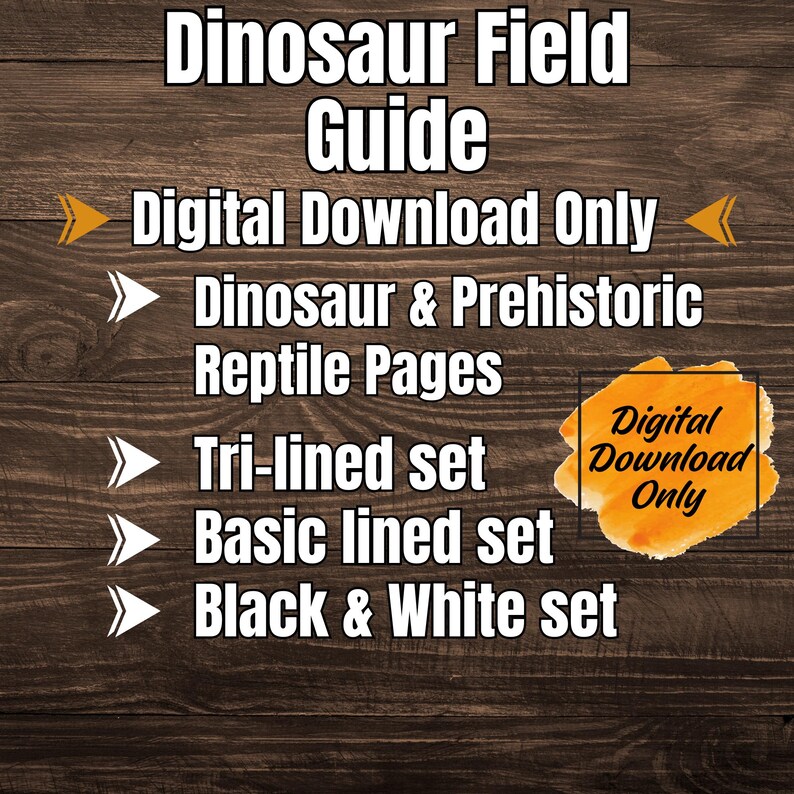 Dinosaur Field Guide, Homeschool, Dinosaurs, School Study, Dinosaur ...