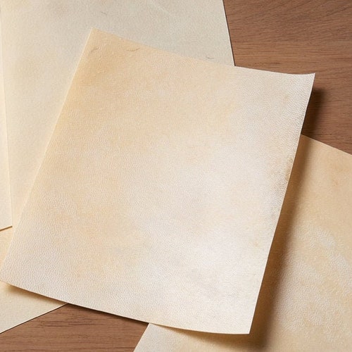 White Natural Goatskin Parchment Vellum Real Parchment - Etsy