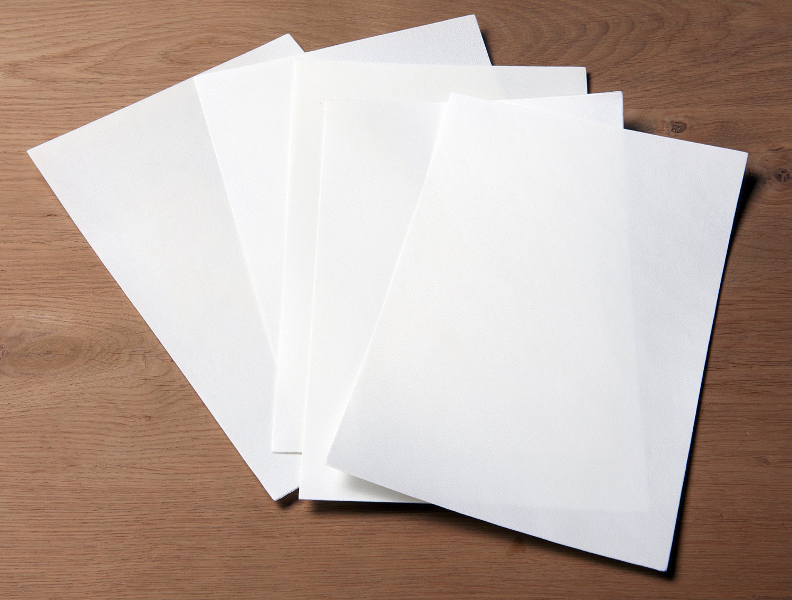 Parchemin en peau de chèvre blanche Vellum Véritable | Etsy