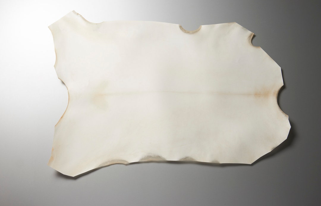Natural Goatskin Parchment Hide – Real Vellum for Wall Panels, Bespoke ...