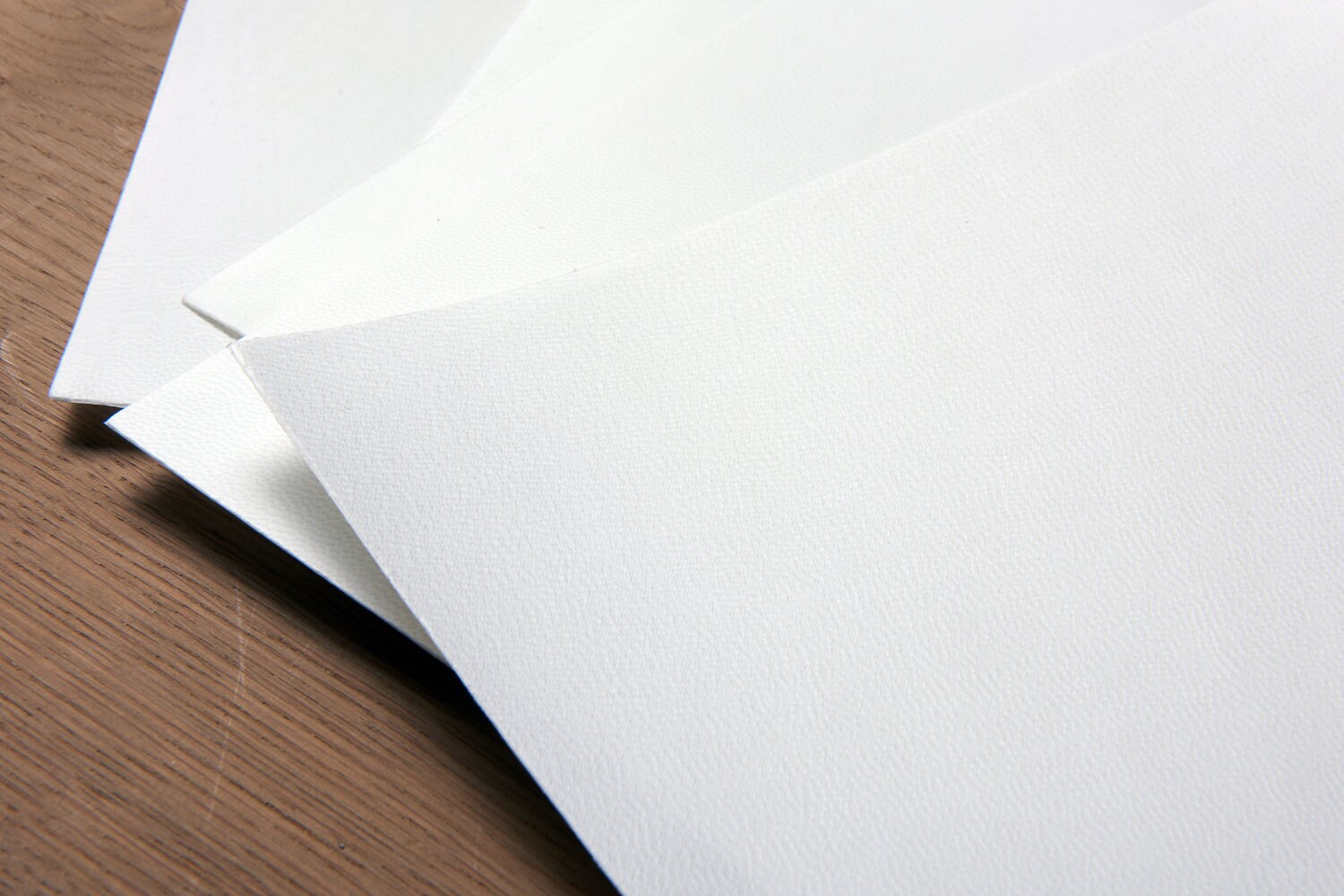 White Goatskin Parchment Vellum Real Parchment Goatskin - Etsy Australia