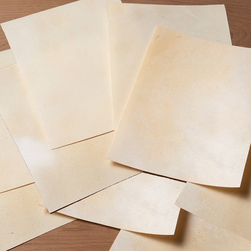 White Natural Goatskin Parchment Vellum Real Parchment | Etsy